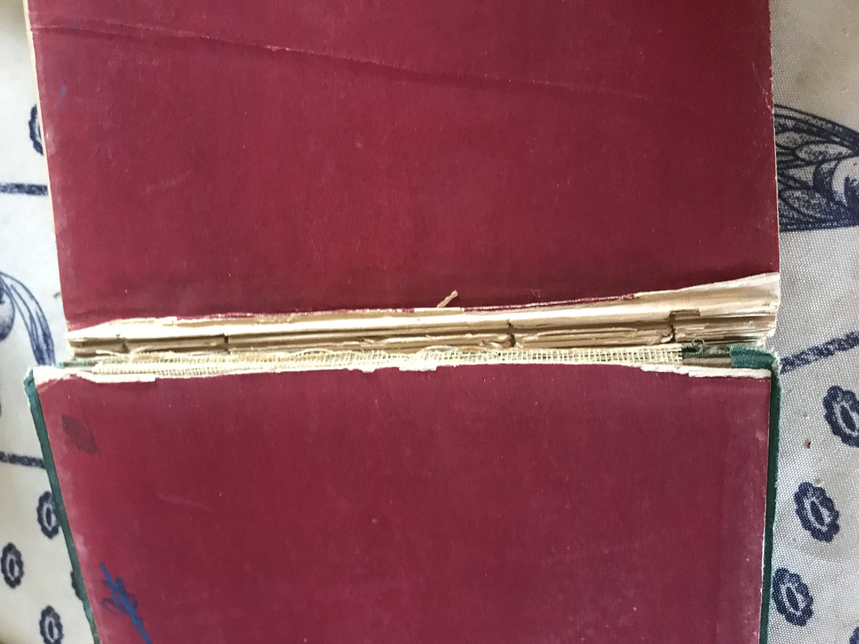 The Mystic Bell: A Wonder Story for Young People 1869; Edward Kuntz ...