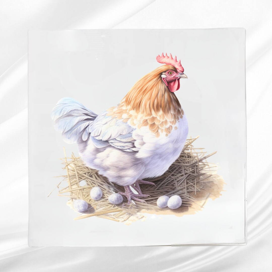 Chicken Fabric Panel ~ Chicken Quilt Block ~ Square Fabric Panel for ...