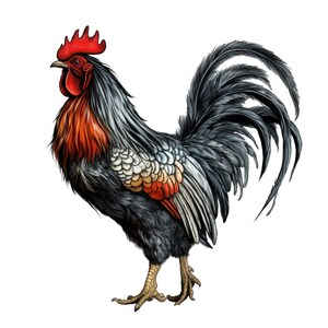 Black Rooster Fabric Panel ~ Rooster Quilt Block ~ Square Fabric Panel ...