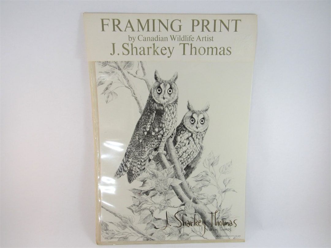 Vintage Framing Print Factory Sealed by Canadian Wildlife Artist J ...