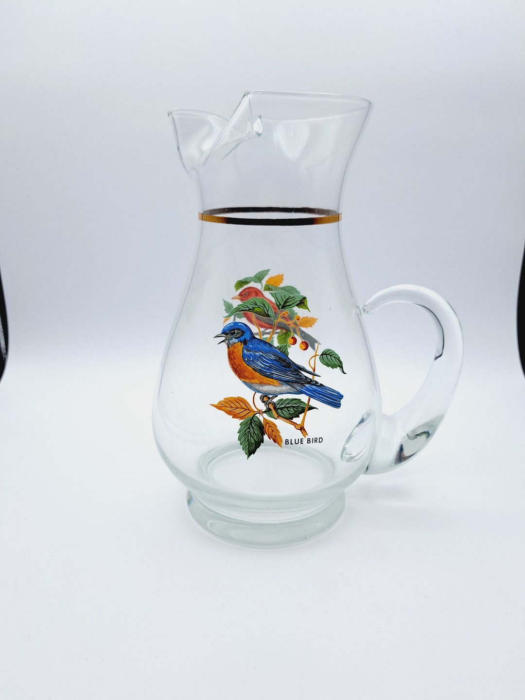 Vintage West Virginia Glass Pitcher, Vintage Dining and Serving, Mid ...
