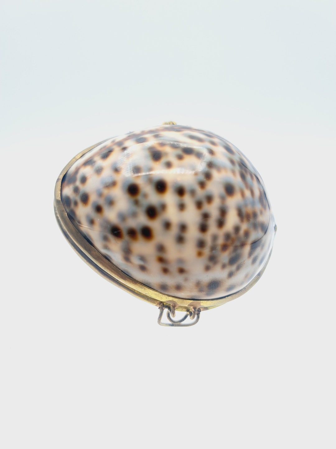 Vintage Cowrie Shell Hinged Trinket Box, Collectible Shell Home Decor ...