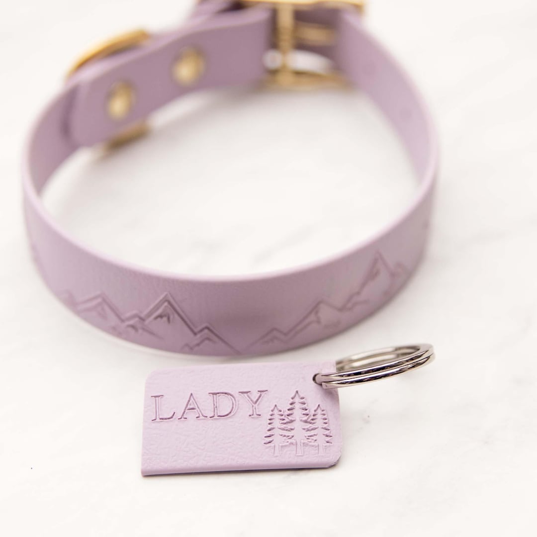 Hand-stamped Biothane INFO SHEET - Custom Dog Collar, Heat Stamp ...