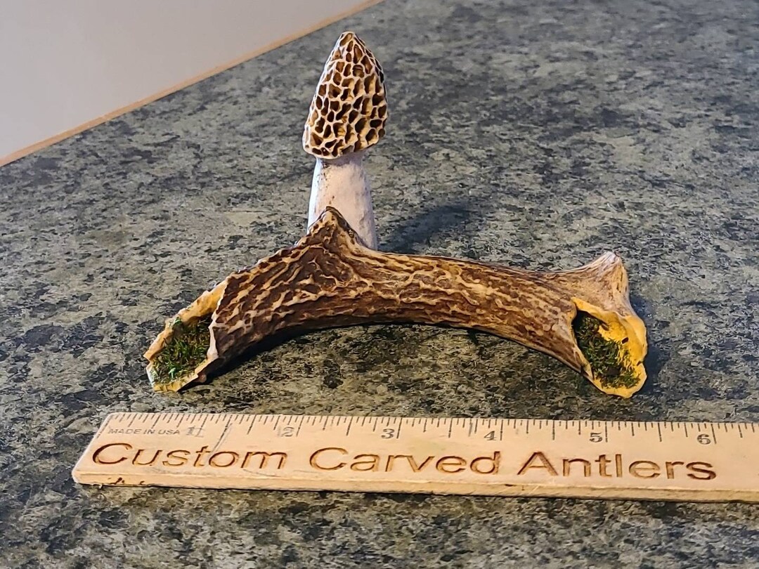 Hand Carved Deer Antler Morel Mushroom Log Folk Art - Etsy