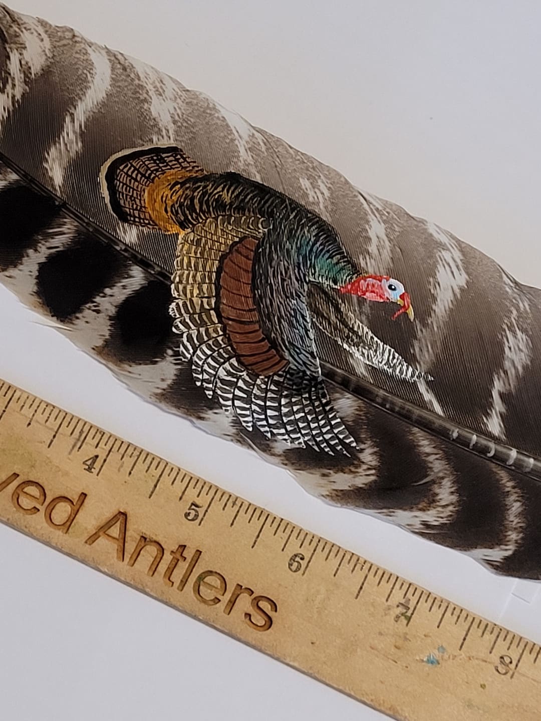 Hand Painted Wild Turkey Feather by Bill Scheide - Etsy