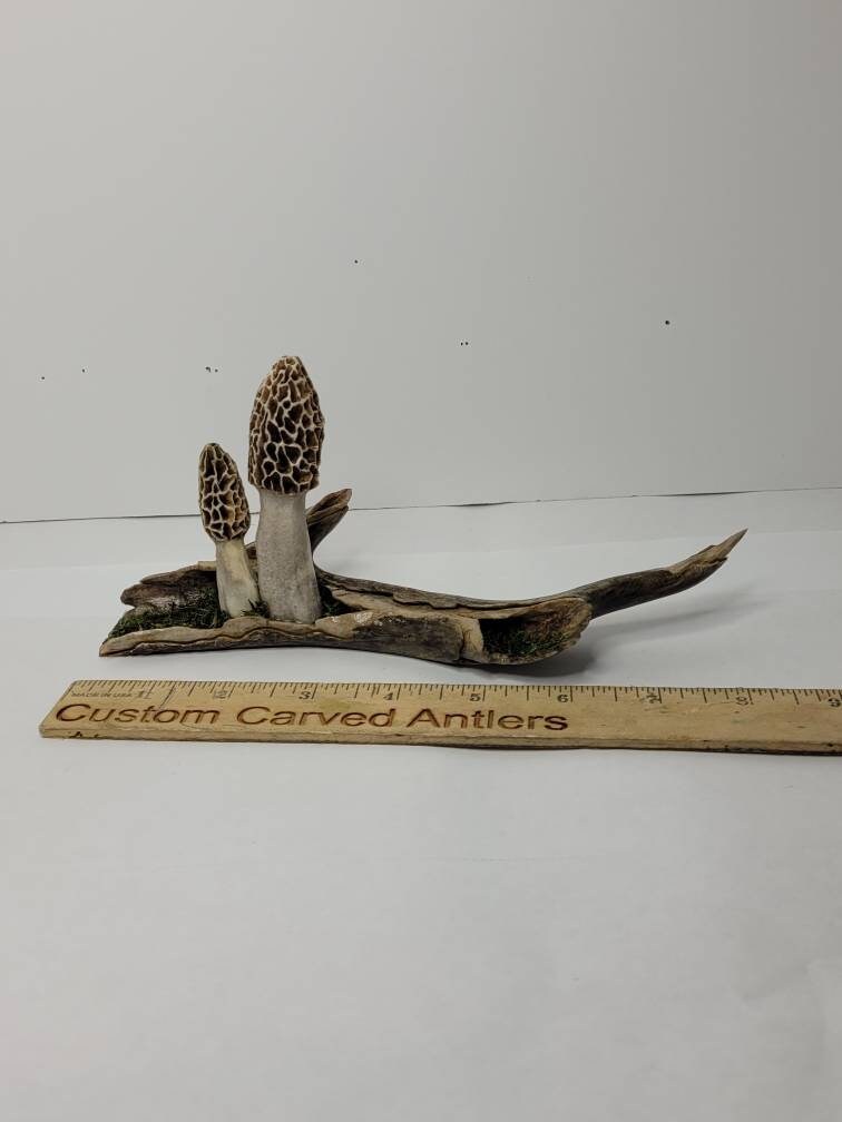 Hand Carved Deer Antler Morel Mushroom Folk Art Shed Antler Carving - Etsy