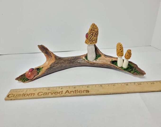 Hand Carved Deer Antler Morel Mushroom, Ladybugs Folk Art Shed Antler ...
