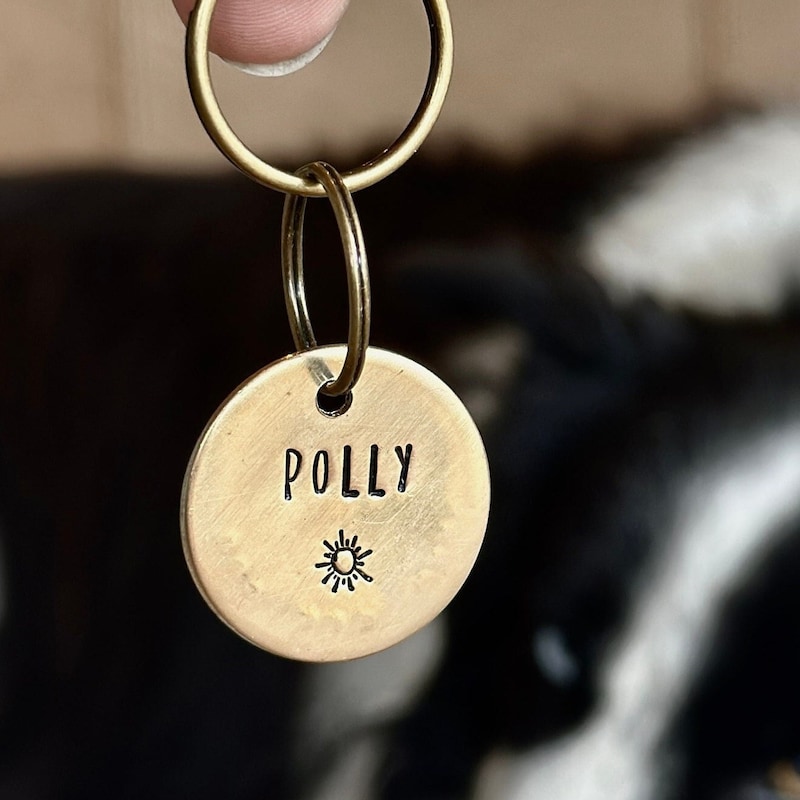 Cat Sunshine Collar - Etsy UK