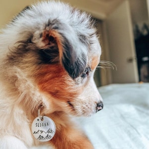 Dog ID Tag, Sun Dog Tag, Trees Dog Tag, Dog Tags, Sunshine Dog Tag, Pet ...