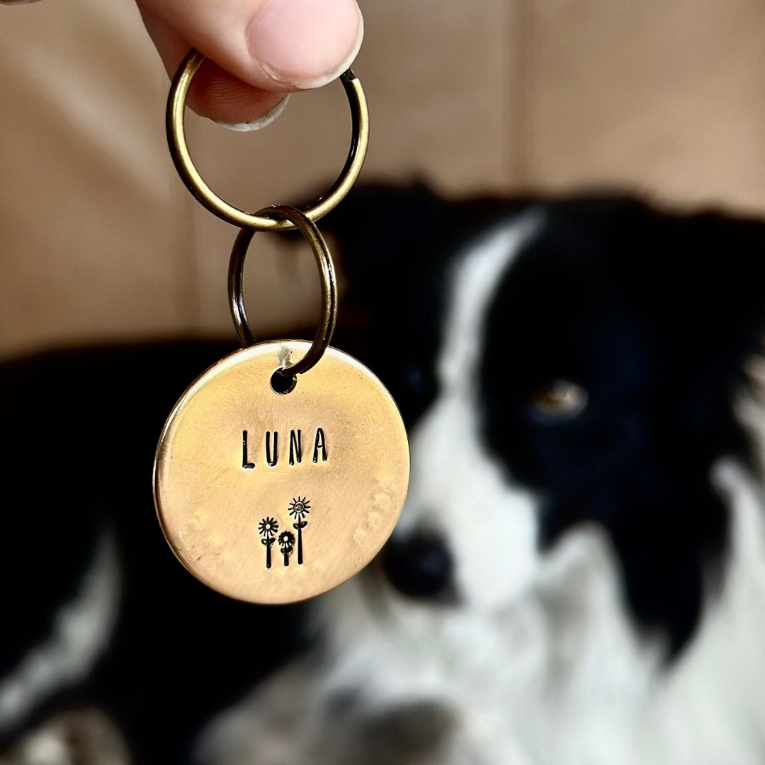 Tiny Pet Id Tag, Engraved Dog Name Tag, Dog Tag, Small Dog Tags for ...