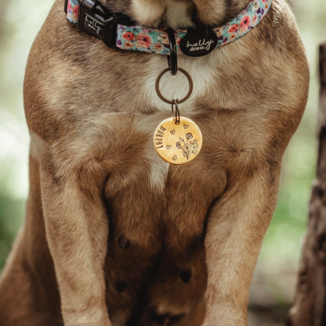 Dog Tag for Dogs, Dog Tag, Adventure Style Dog Tag, Dog Tag With ...