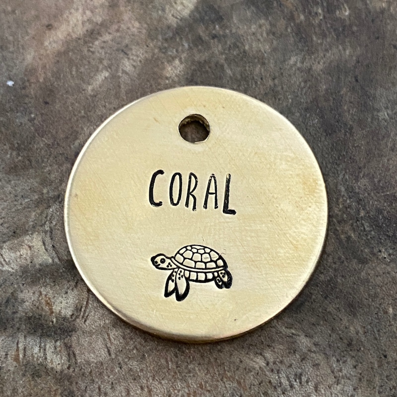 Brass Turtles - Etsy