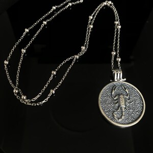 Scorpio Zodiac Zodiac Star Map Silver Pendant.chain Scorpion - Etsy