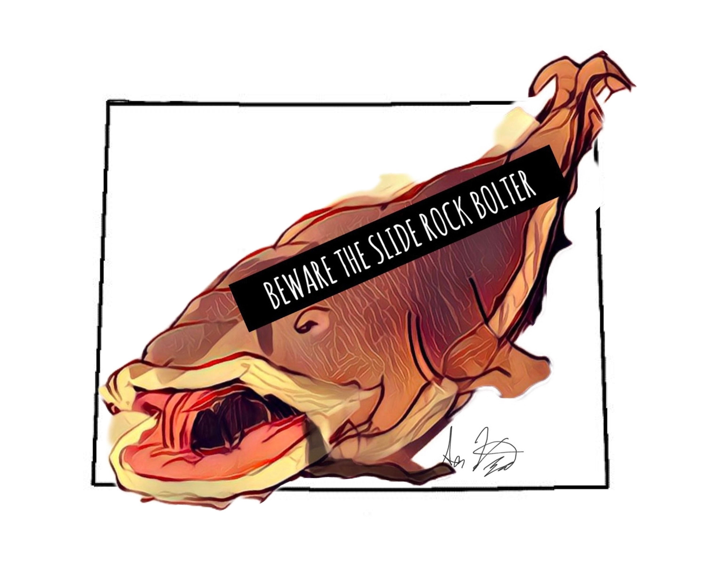 Slide Rock Bolter - Etsy