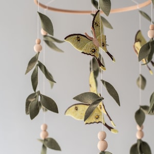 Lunar Moth Baby Mobile: Felt Woodland Nursery Decor - Etsy