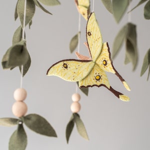 Lunar Moth Baby Mobile: Felt Woodland Nursery Decor - Etsy