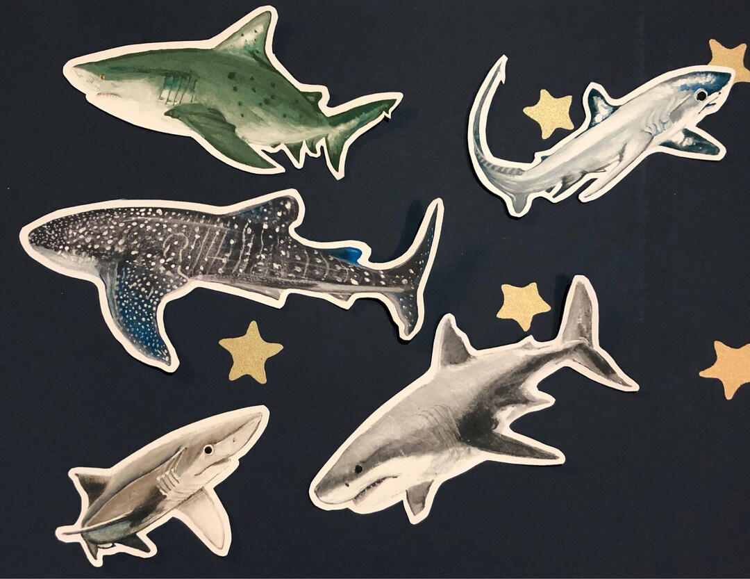 Watercolour Shark Stickers - Great White Shark, Thresher Shark, Bull ...