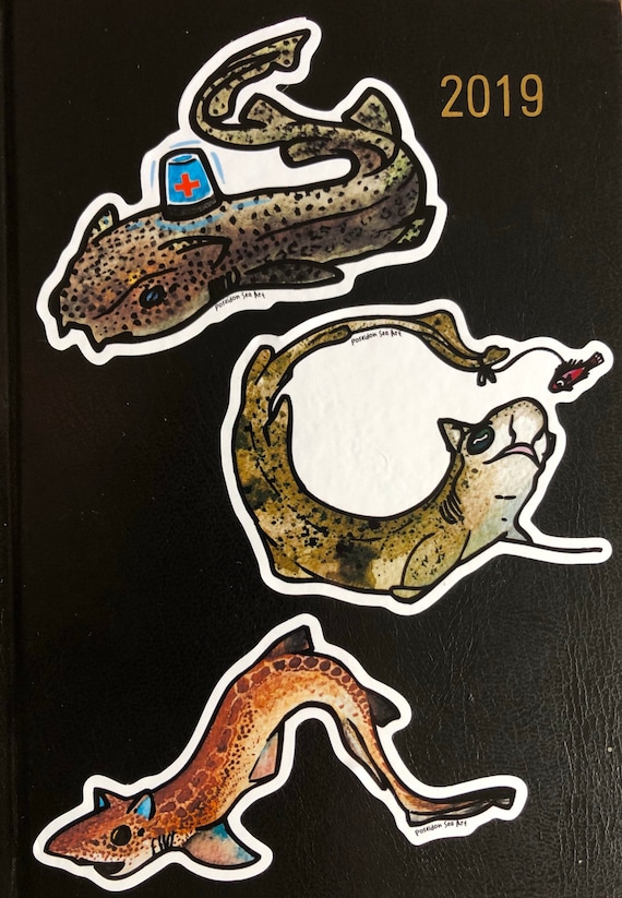 Catshark Shark Stickers Blackmouth Small-spotted | Etsy