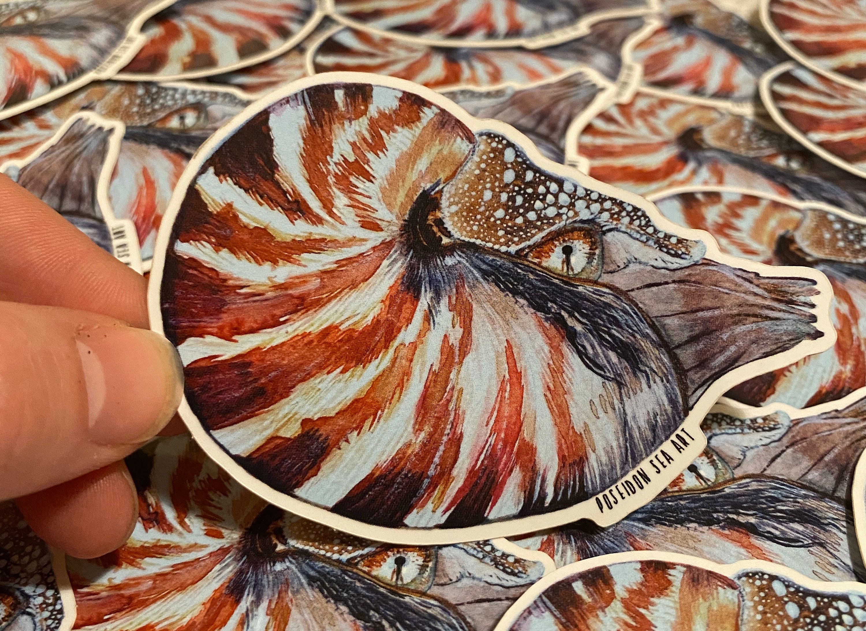 Nautilus Sticker - Watercolour Nautilus - Chambered Nautilus - Cute ...