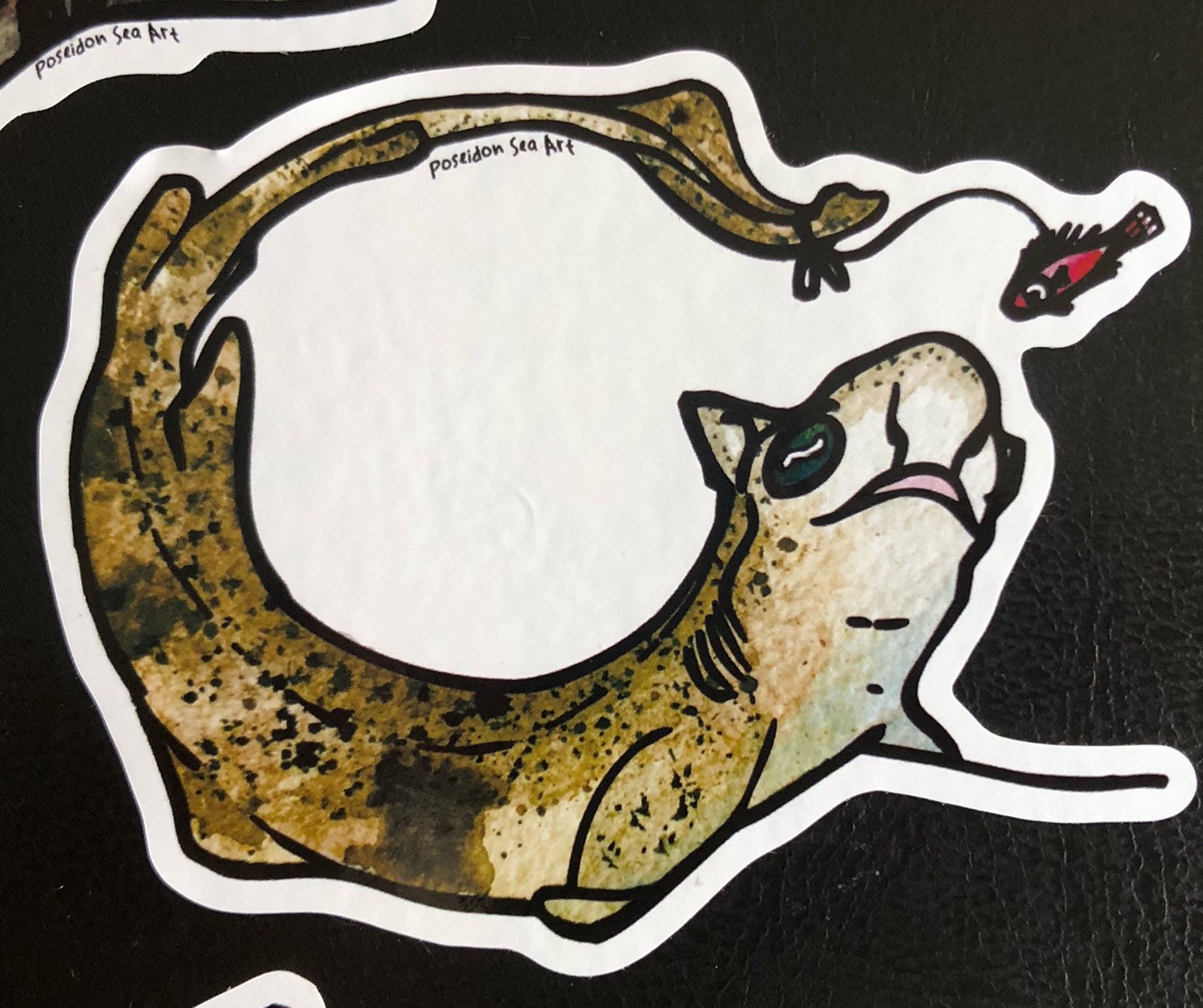 Catshark Shark Stickers - Blackmouth, Small-spotted, Nursehounds ...