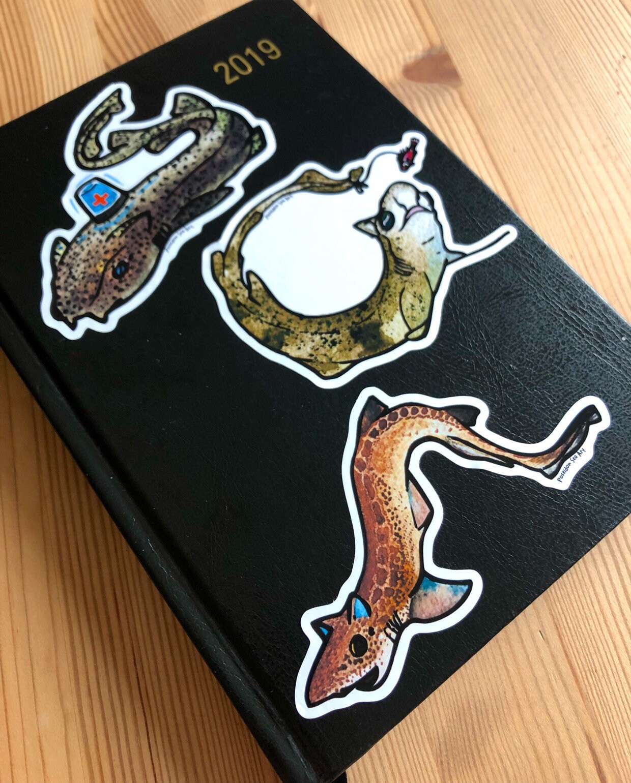 Catshark Shark Stickers - Blackmouth, Small-spotted, Nursehounds ...
