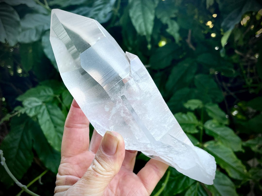 XL High Grade Genuine Lemurian Quartz, Master Cathedral Lightbrary ...