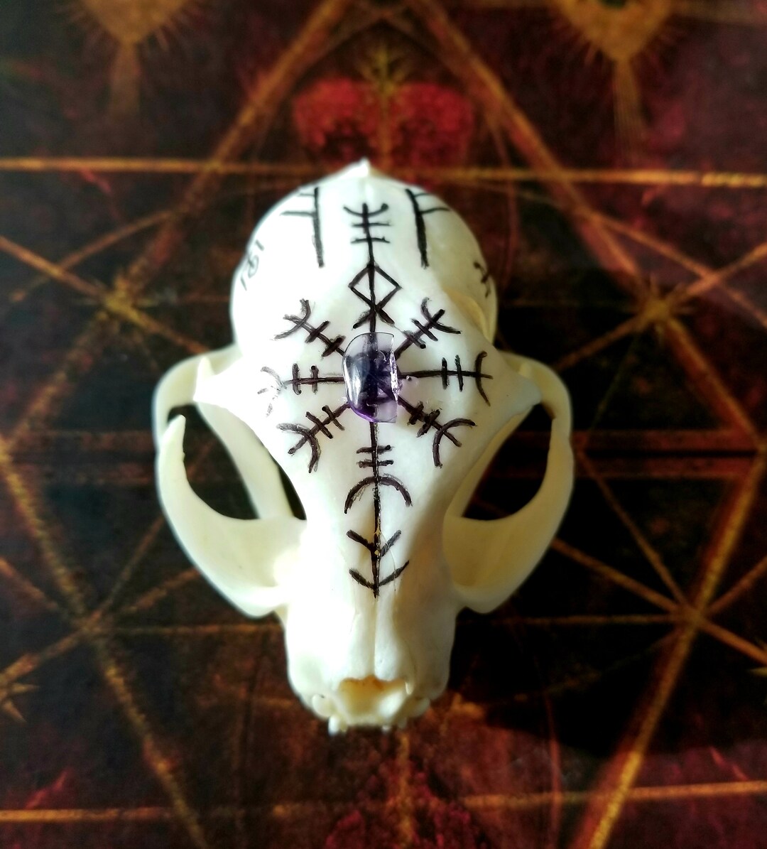 Freya Sacred Familiar Home Cat Skull, Norse Goddess, Viking, Asatru ...