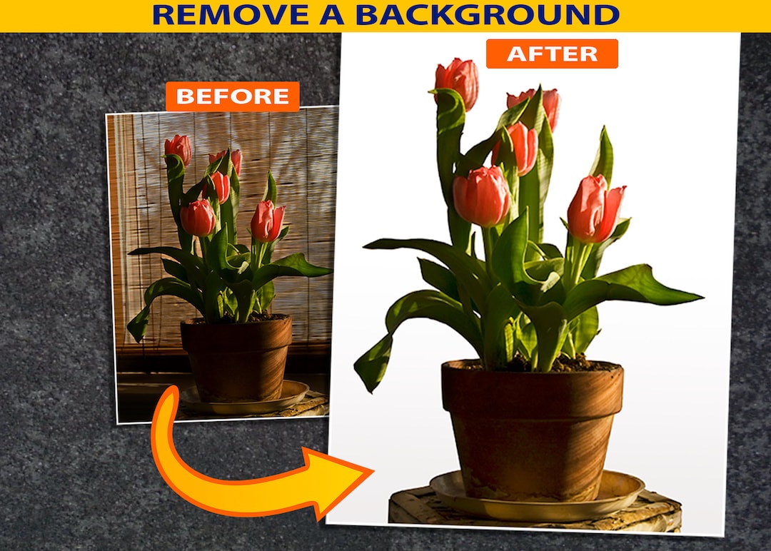 Photo Editing, Remove Background, Erase Background, Fix Pictures ...