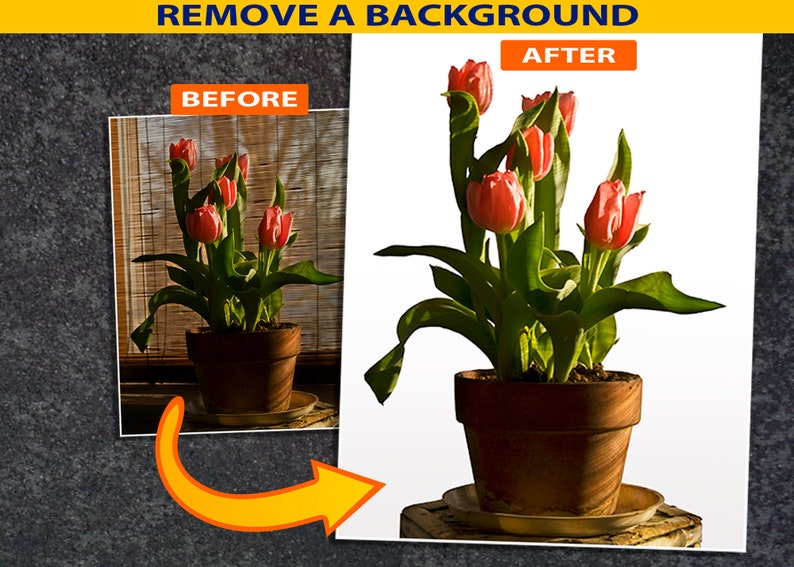 Photo Editing, Remove Background, Erase Background, Fix Pictures ...