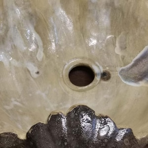 Giant Clam Shell Rustic Vessel Sink - Ready to Ship - One of a Kind ...