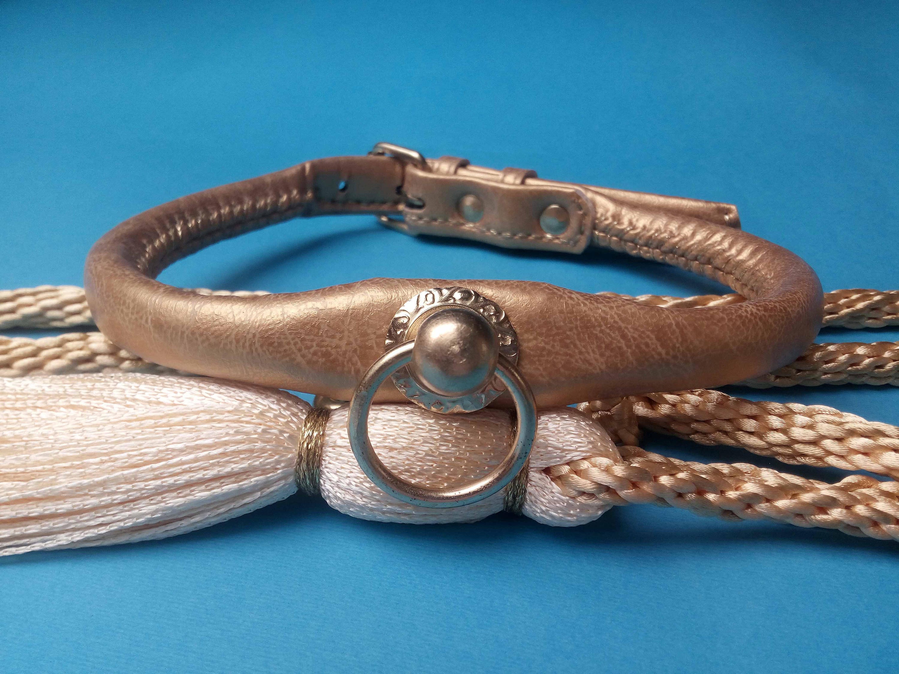 Traditional Japanese Akita Collar and Leash for Dog Show - Etsy