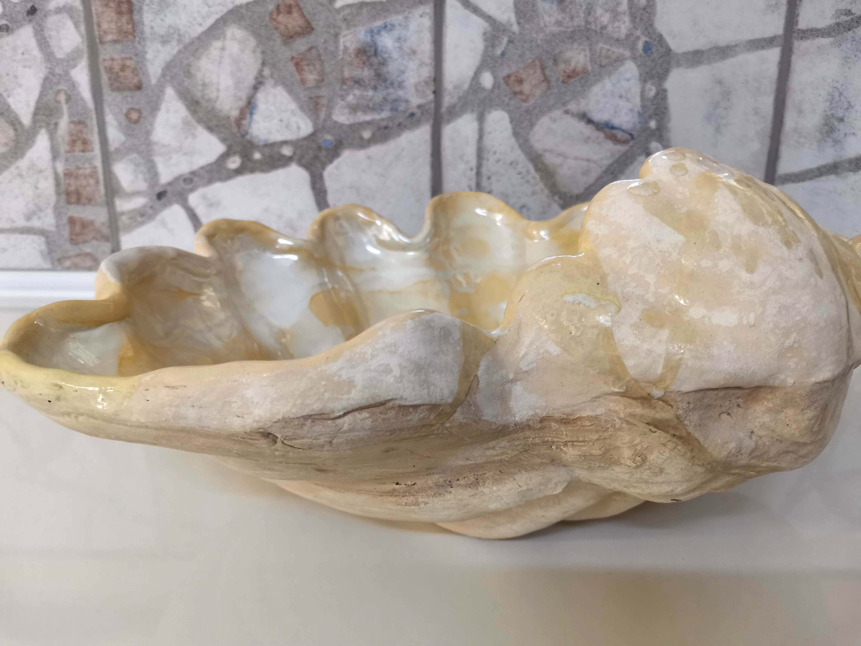 Giant Clam Shell Vessel Sink Ready to Ship3 Large Size - Etsy