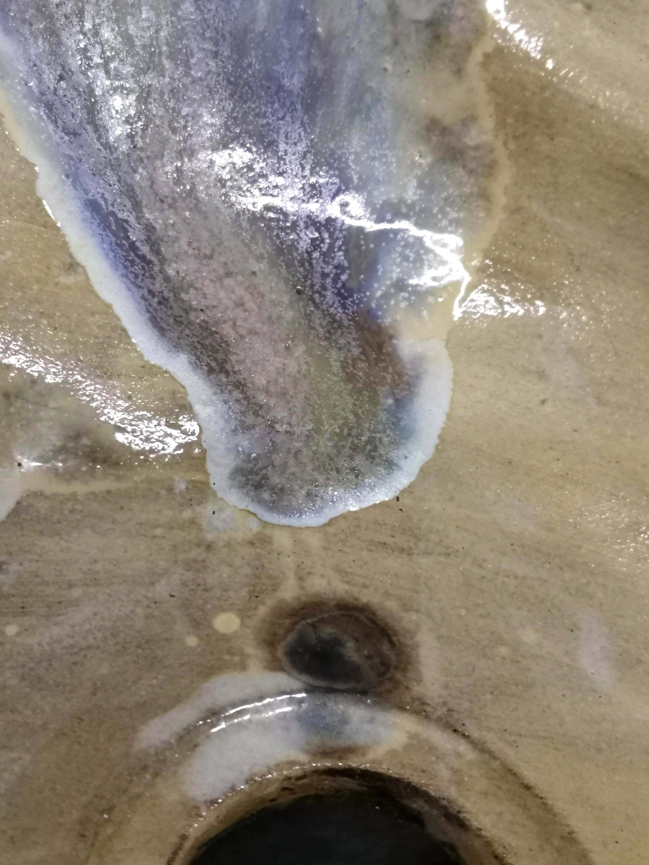 Giant Clam Shell Rustic Vessel Sink - Ready to Ship - One of a Kind ...