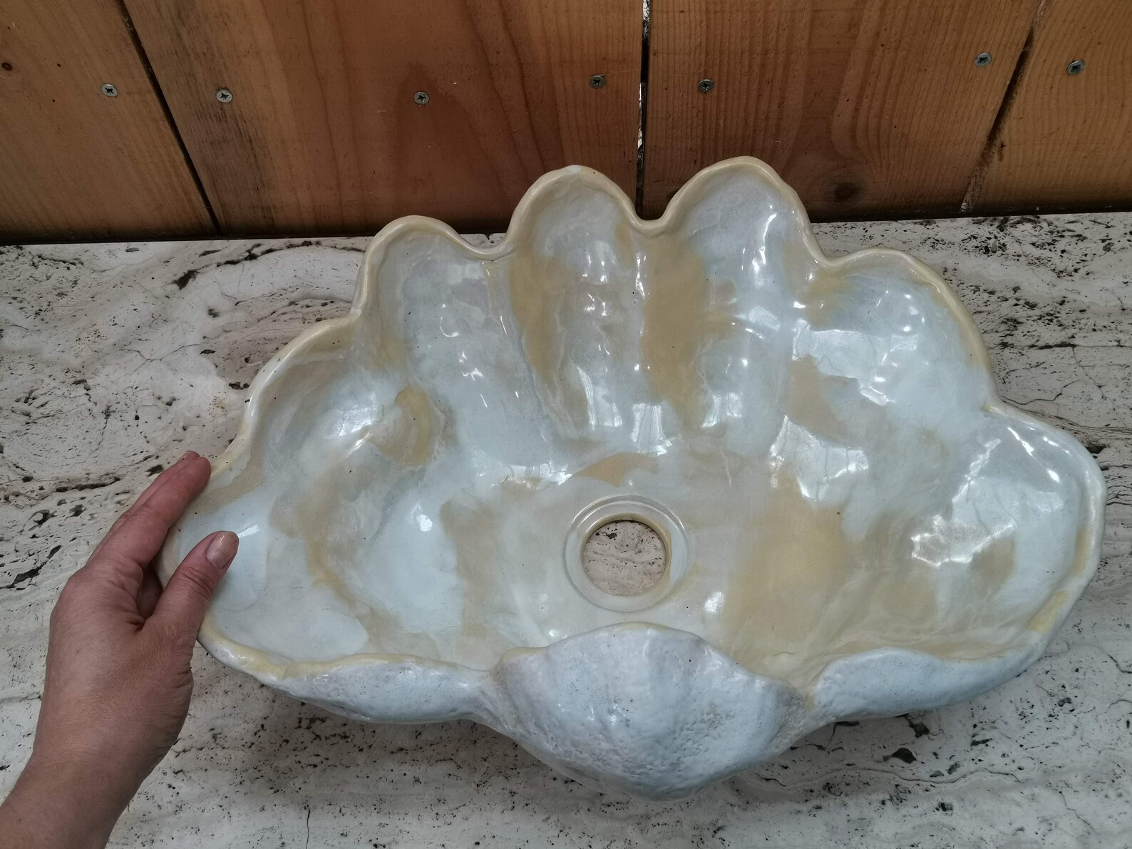 Giant Clam Shell Vessel Sink Ready to Ship small Size One of a Kind ...