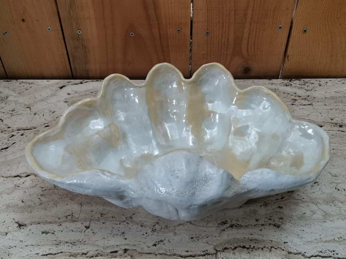 Giant Clam Shell Vessel Sink Ready to Ship small Size One of a Kind ...