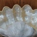 Giant Clam Shell Vessel Sink Ready to Ship small Size One of a Kind ...