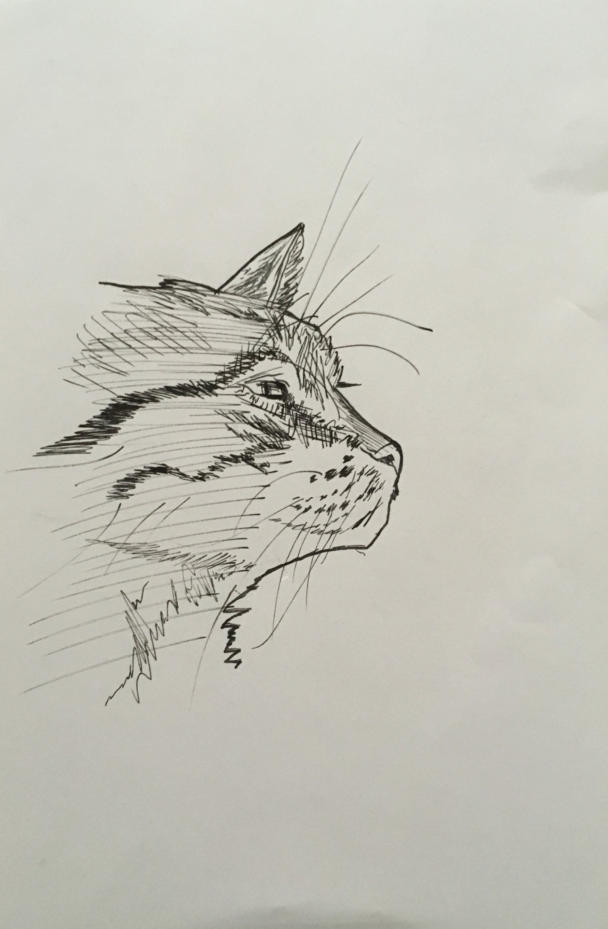 Original pen and ink drawing cat drawing art Landscape | Etsy