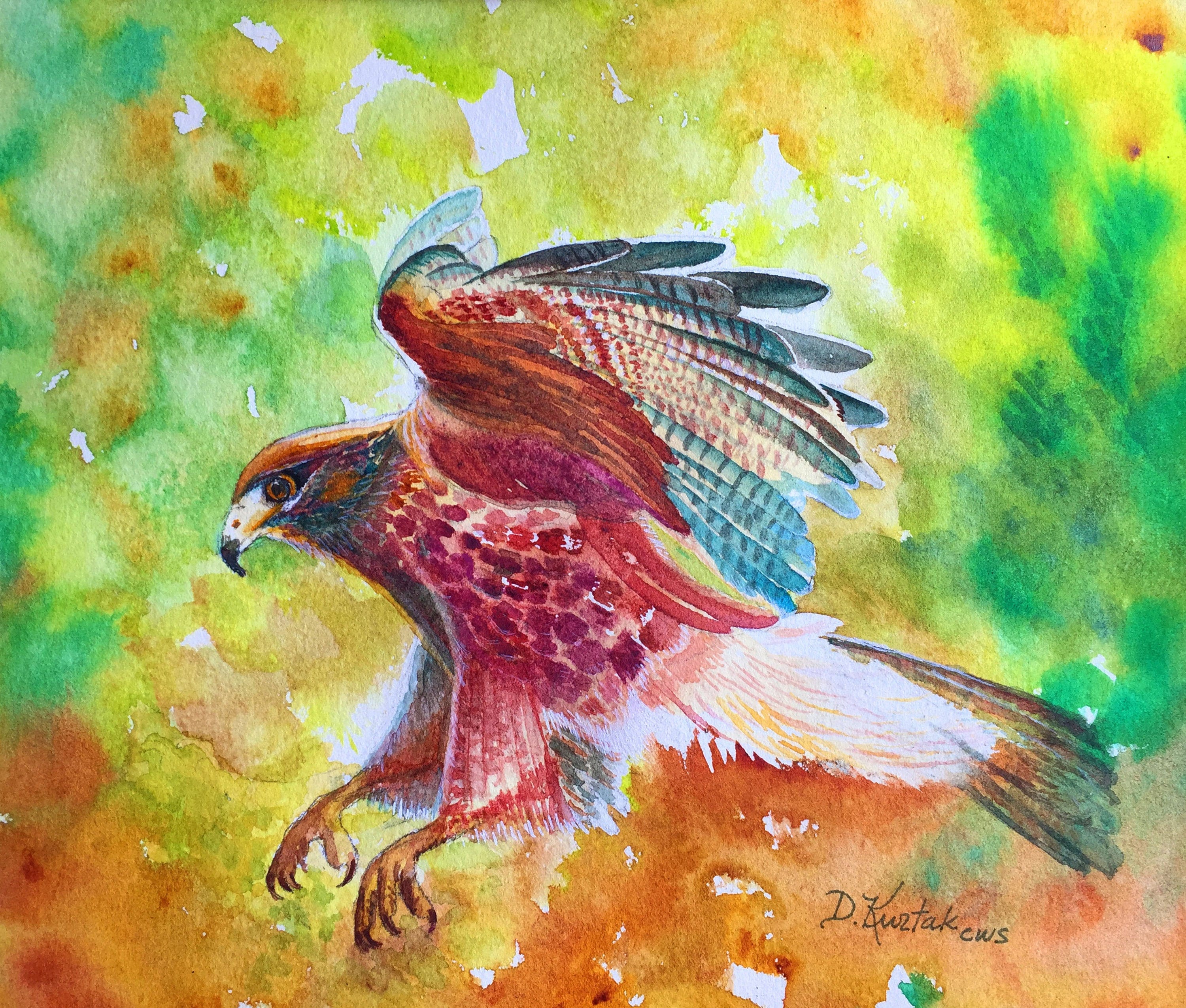 Spirit Hawk - Fine Art Giclée Print on Watercolor Paper From Original ...