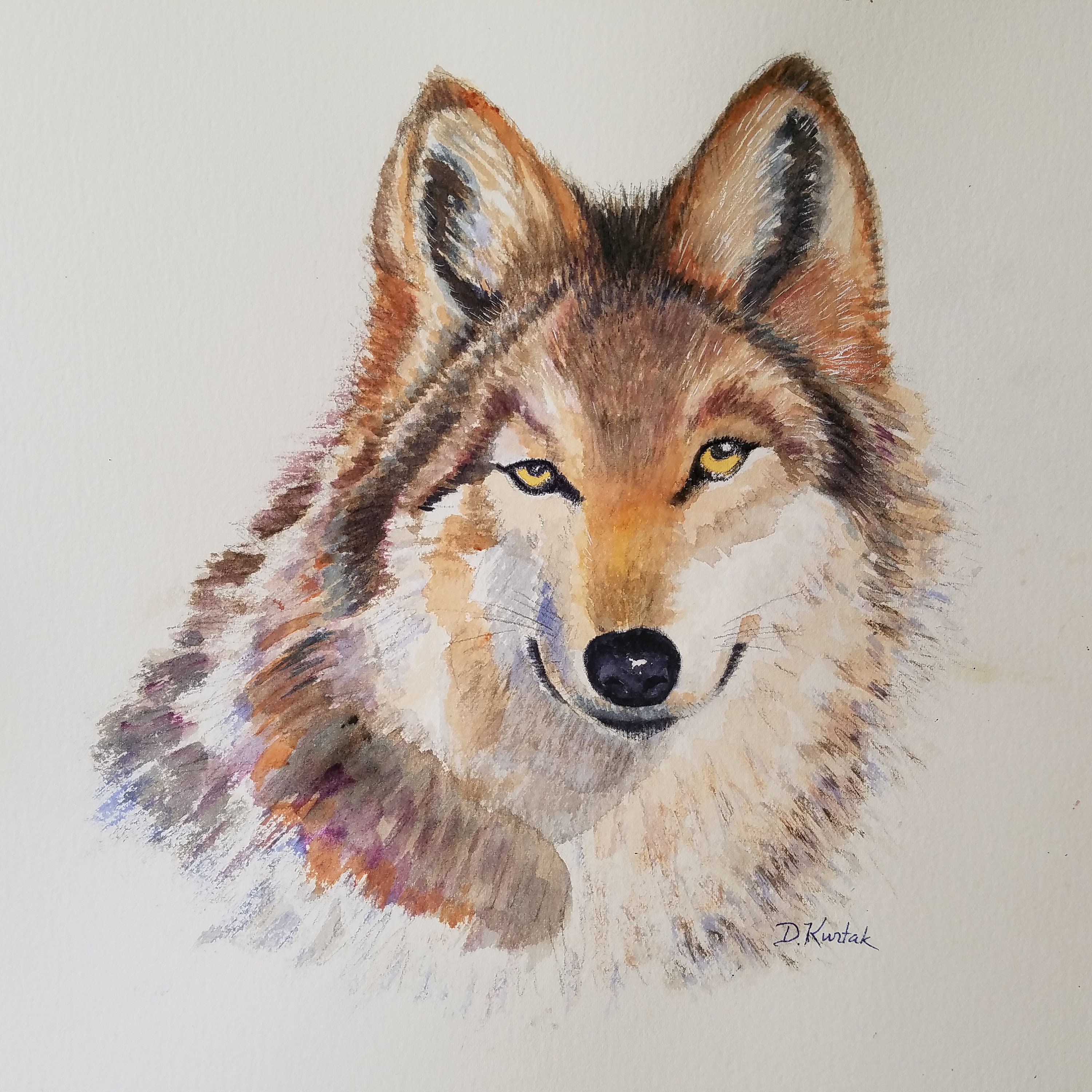 Wolf Spirit Drawing