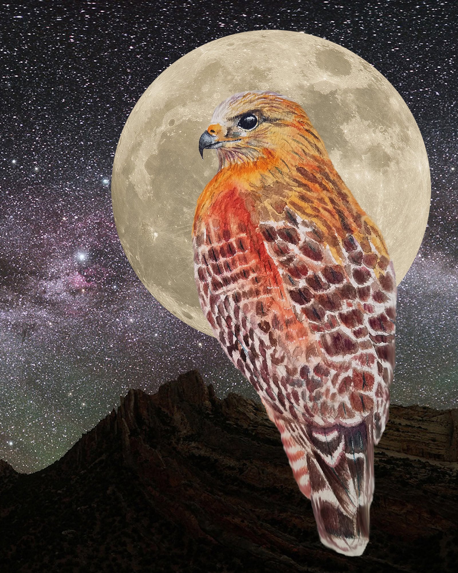 Hawk Moon Spirit Hawk Painting Fine Art Print from Original Aquarelle ...