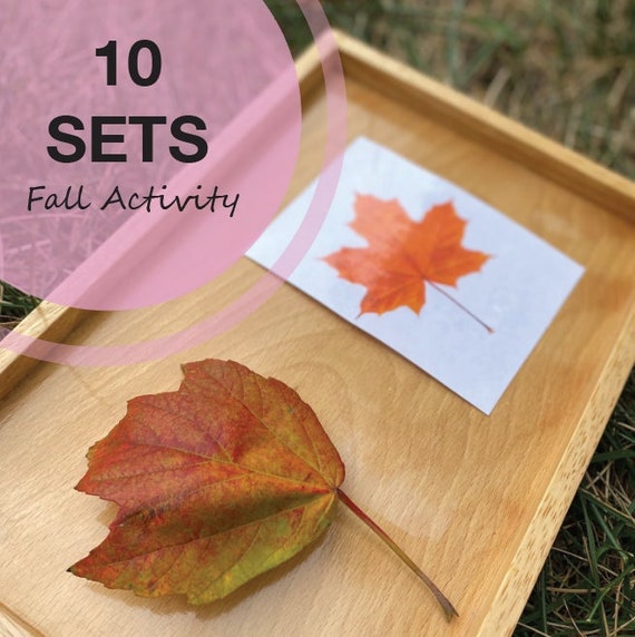 Montessori Printable. Leaf Matching Cards. - Etsy