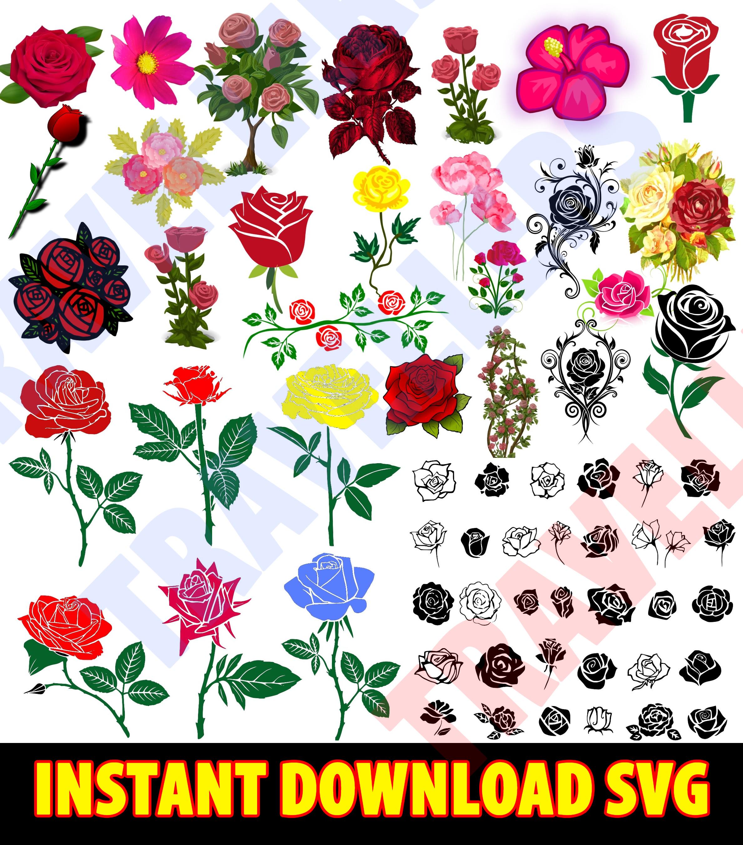 ROSE FLOWERS SVG, Rosevectors, Roses Clipart, Rose Icons, Rose Symbols ...