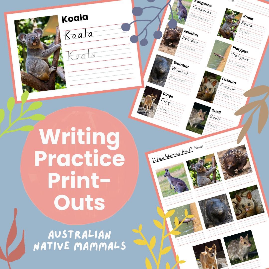 Australian Native Mammal Writing Practice Print-outs - for Kindy, Prep ...