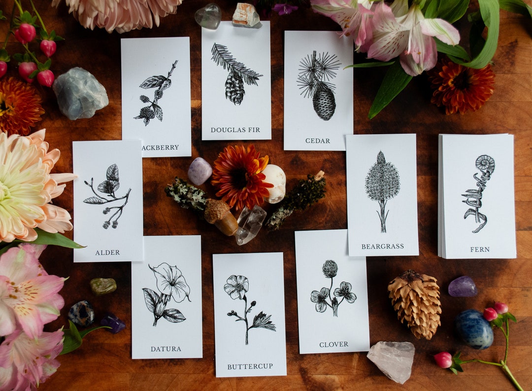 Plant Ally Talisman Cards: Botanical Mini Deck Extension - Etsy