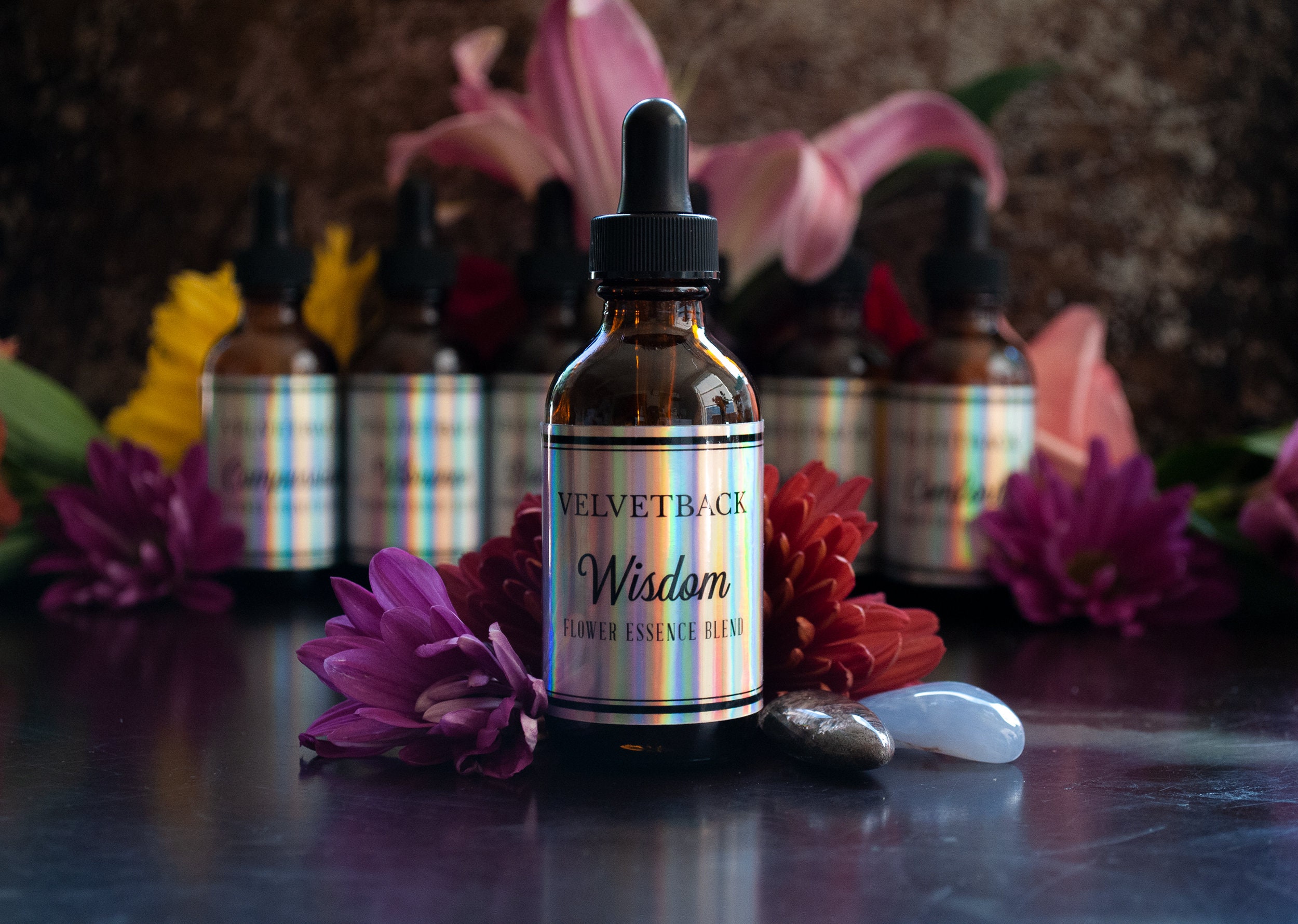 Wisdom Flower Essence Blend Guidebook and Plant Ally - Etsy