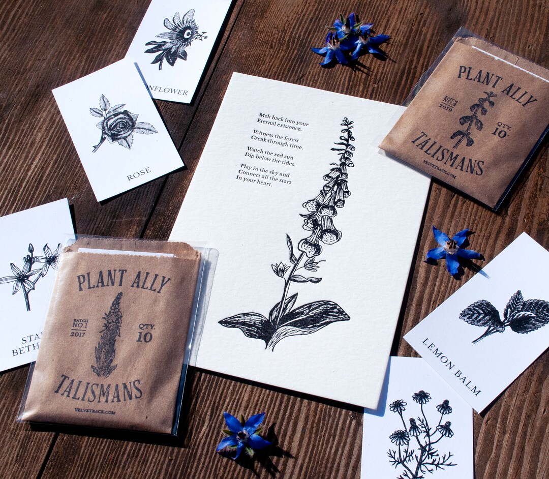 Mini Plant Lover Bundle Gift for Herbalist Gardener Green Witch ...