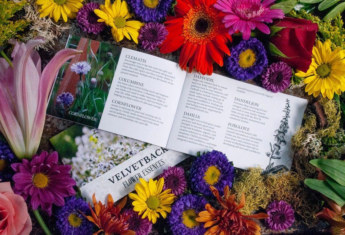 Transformation Flower Essence Blend Guidebook and Plant Ally | Etsy