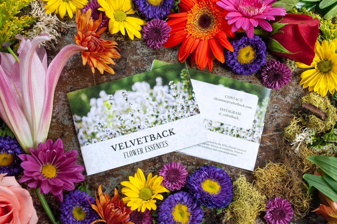 Transformation Flower Essence Blend Guidebook and Plant Ally | Etsy