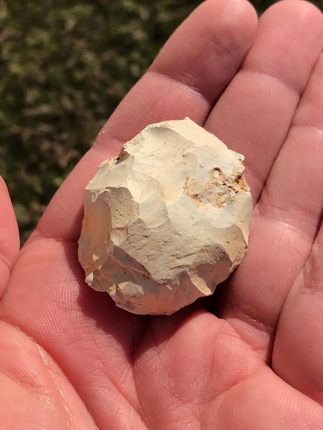 Florida Native American Stone Scraper Tool Artifact & Fossil Combo ...