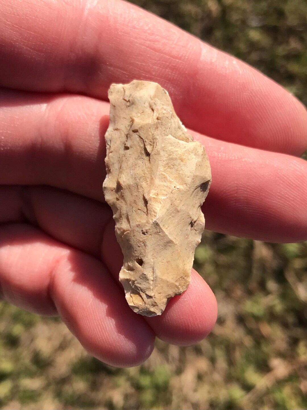 Florida Native American Stone Tool Artifact & Fossil Combo - Fossilized ...